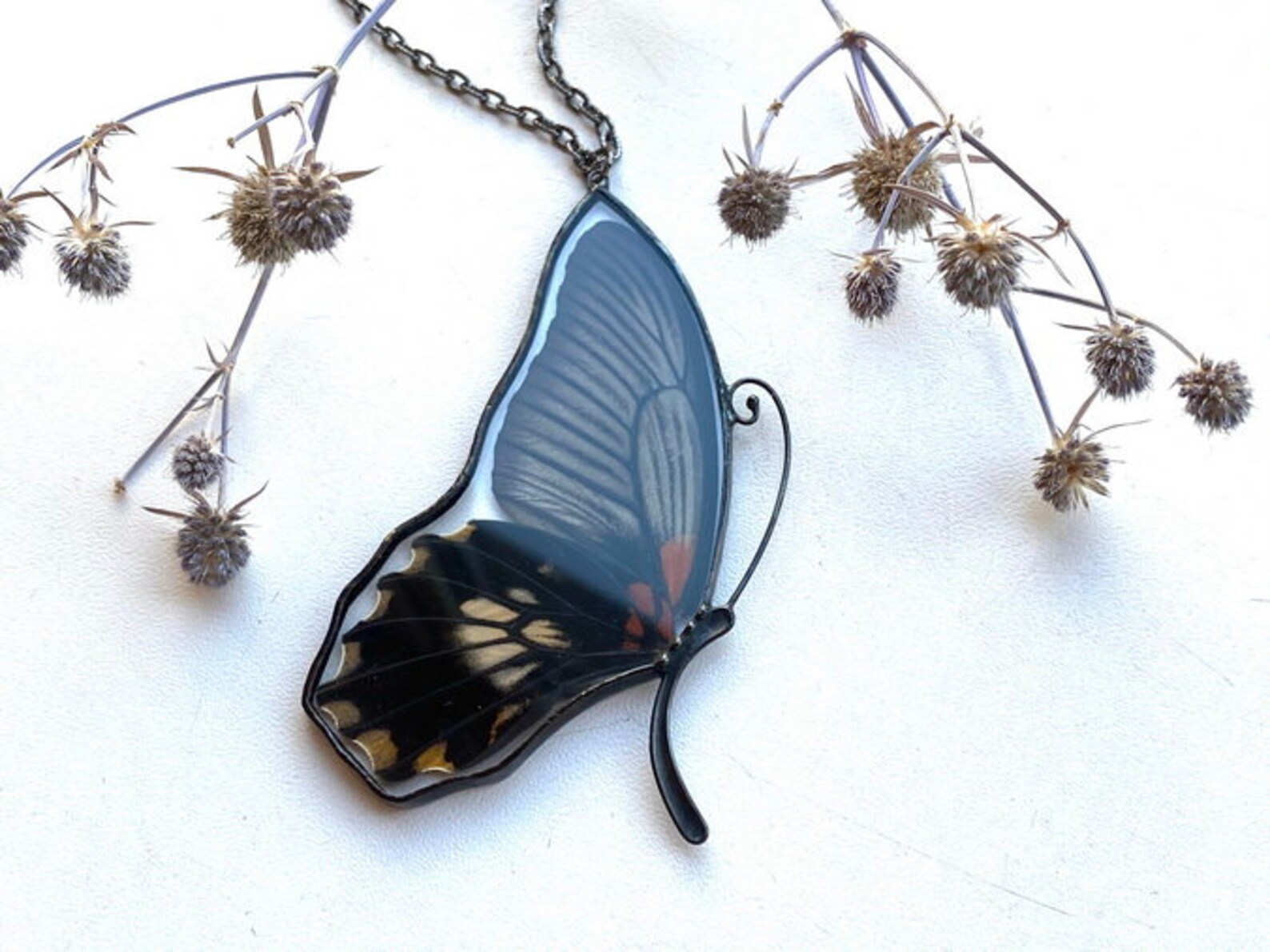 Butterfly Wings Necklace Real Butterfly Black Wings Butterfly - Etsy