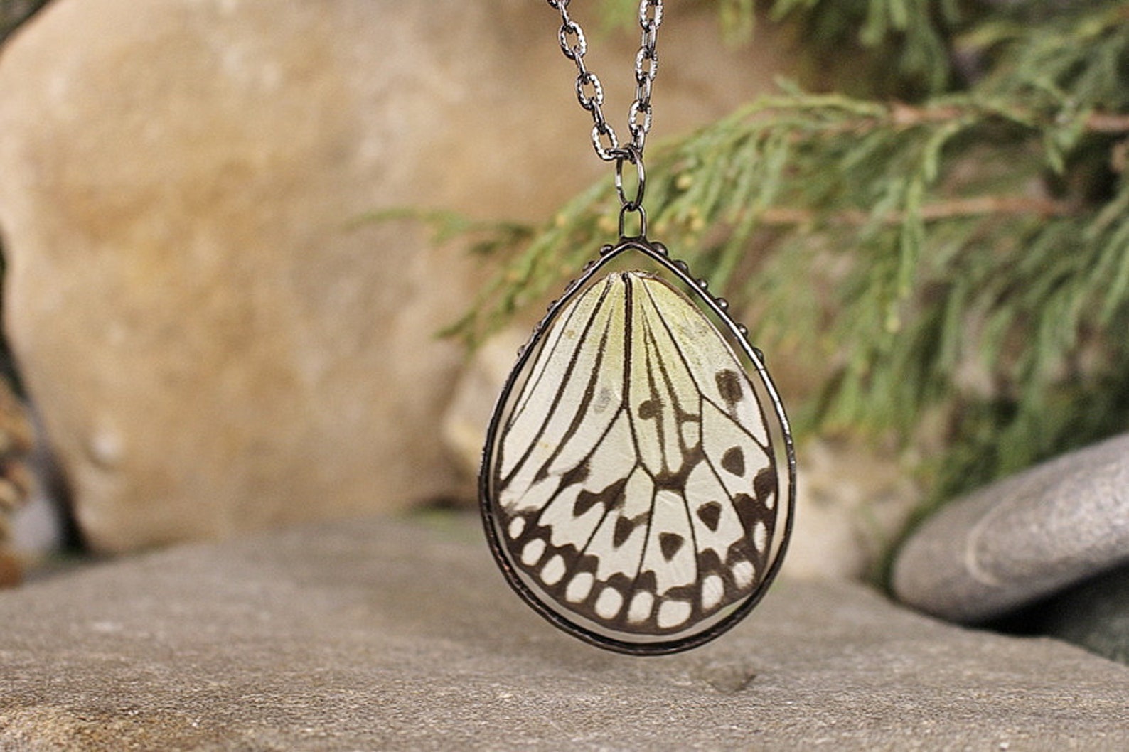 Butterfly wings necklace real Butterfly brown wings gift Black | Etsy
