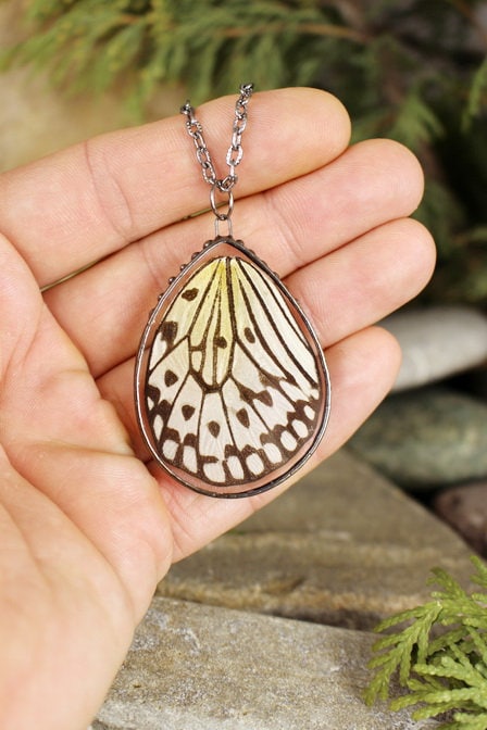 Butterfly Wings Necklace Real Butterfly Brown Wings Gift Black - Etsy