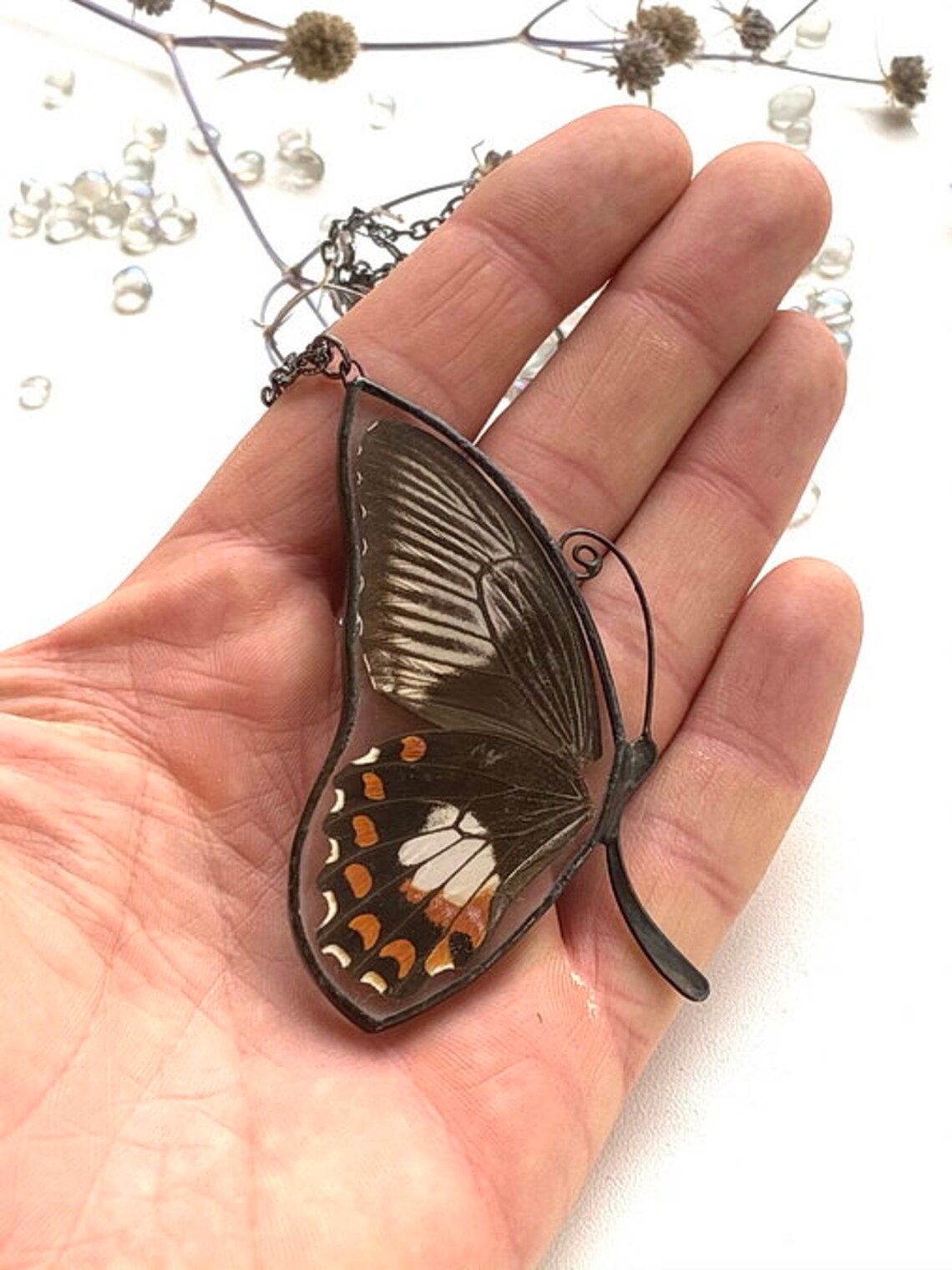 Butterfly Wings Necklace Real Butterfly Black Wings Butterfly - Etsy