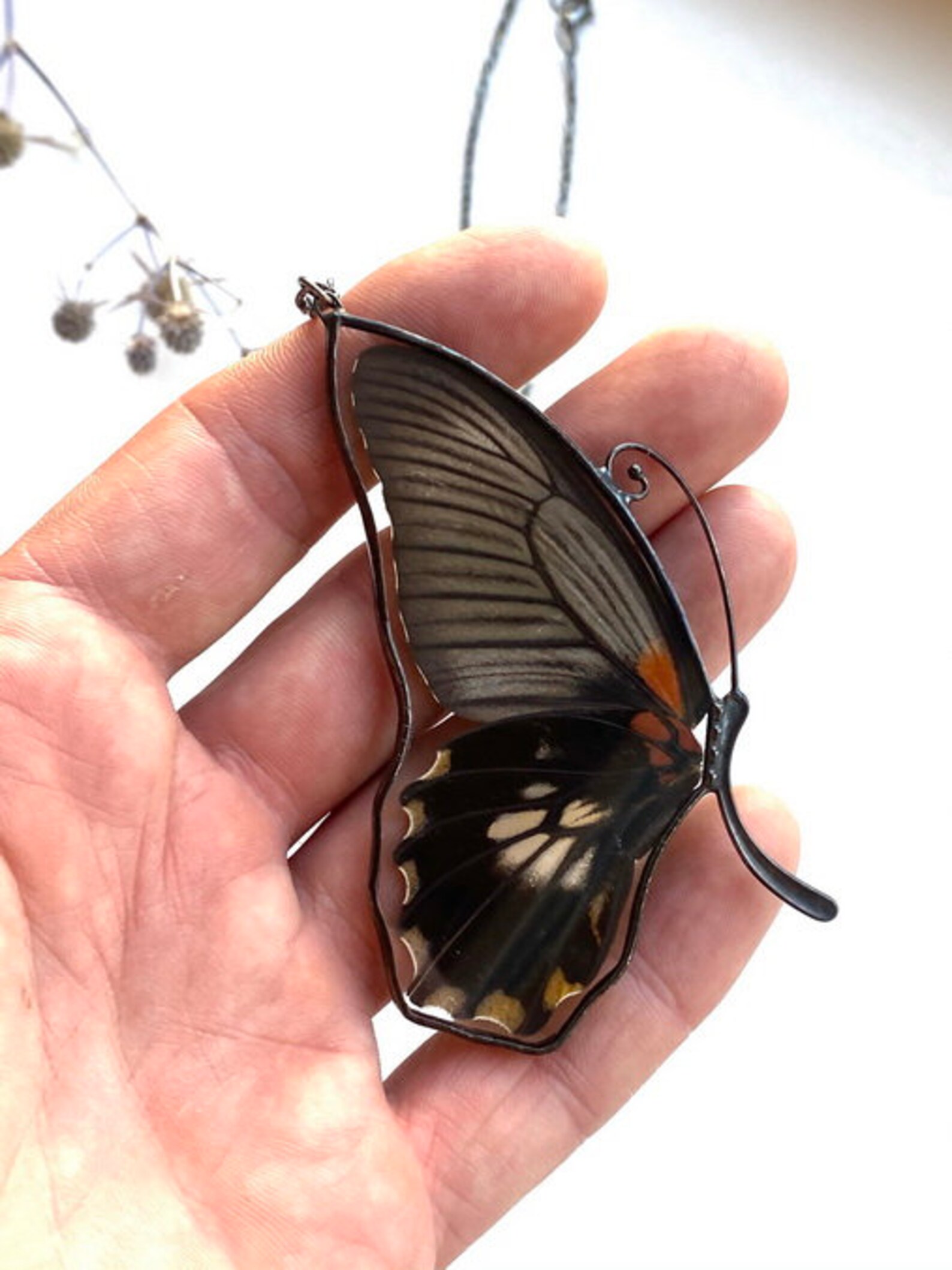 Butterfly Wings Necklace Real Butterfly Black Wings Butterfly - Etsy