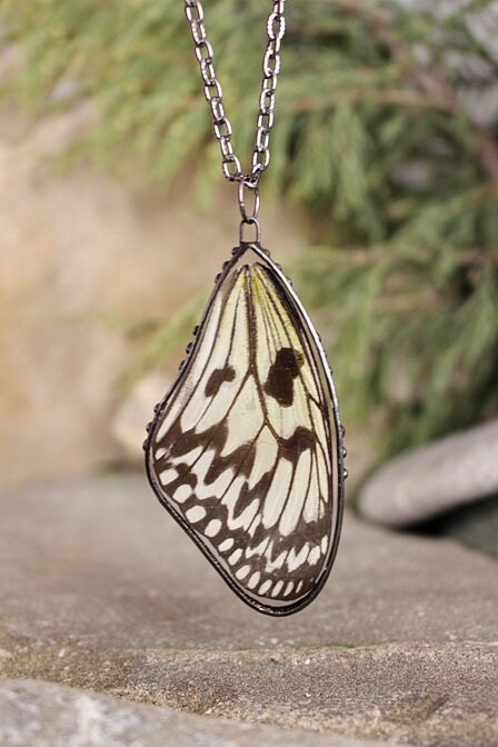 Butterfly Wings Necklace Real Butterfly Brown Wings Gift Black | Etsy