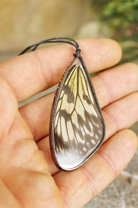 Butterfly Wings Necklace Real Butterfly Brown Wings Gift Black | Etsy