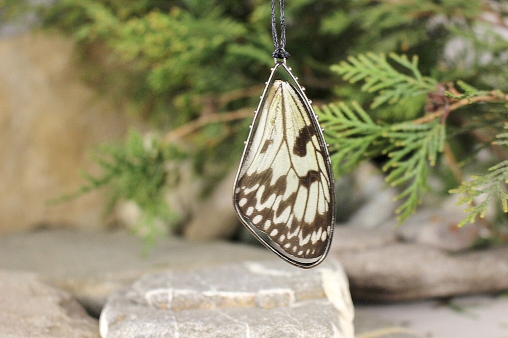 Butterfly Wings Necklace Real Butterfly Brown Wings Gift Black | Etsy