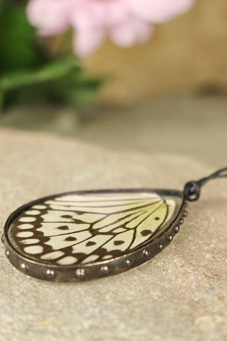Butterfly wings necklace real Butterfly brown wings gift Black | Etsy