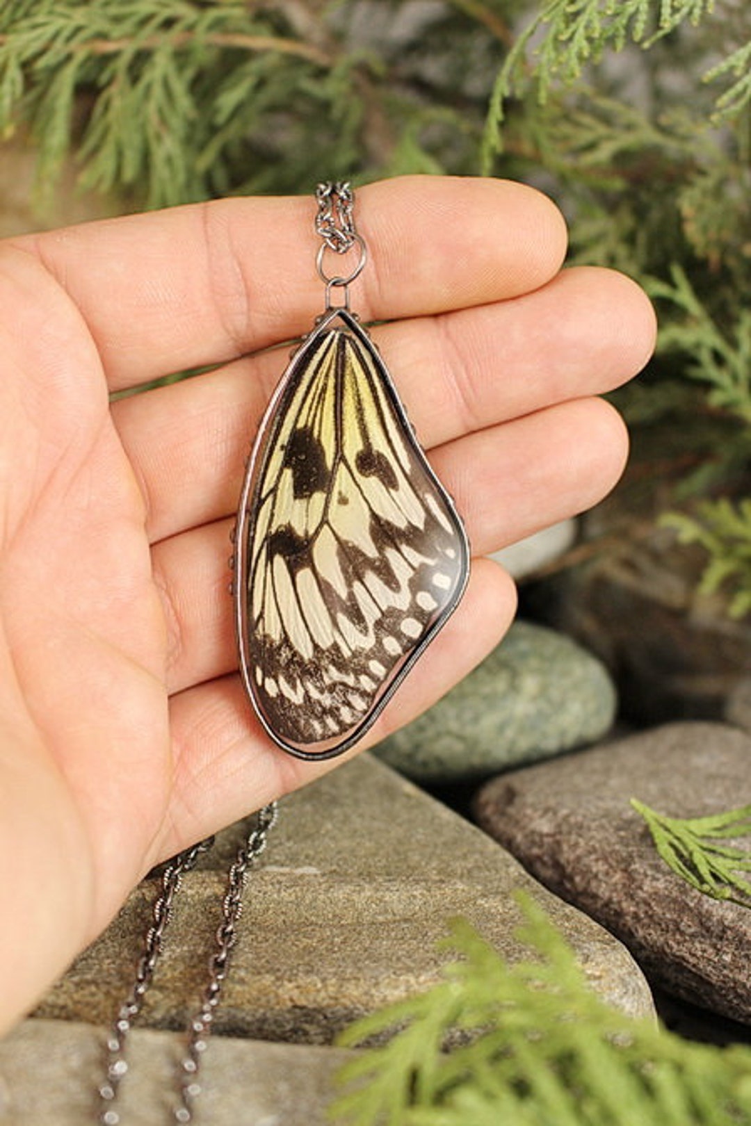 Butterfly Wings Necklace Real Butterfly Brown Wings Gift Black and ...
