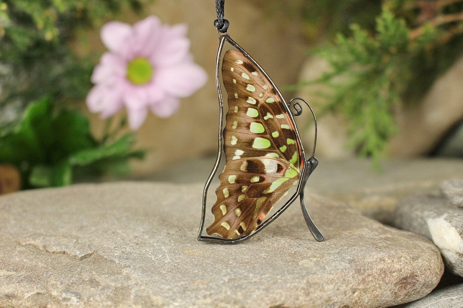 Real Butterfly Wings Necklace Green Wings Butterfly Nature - Etsy