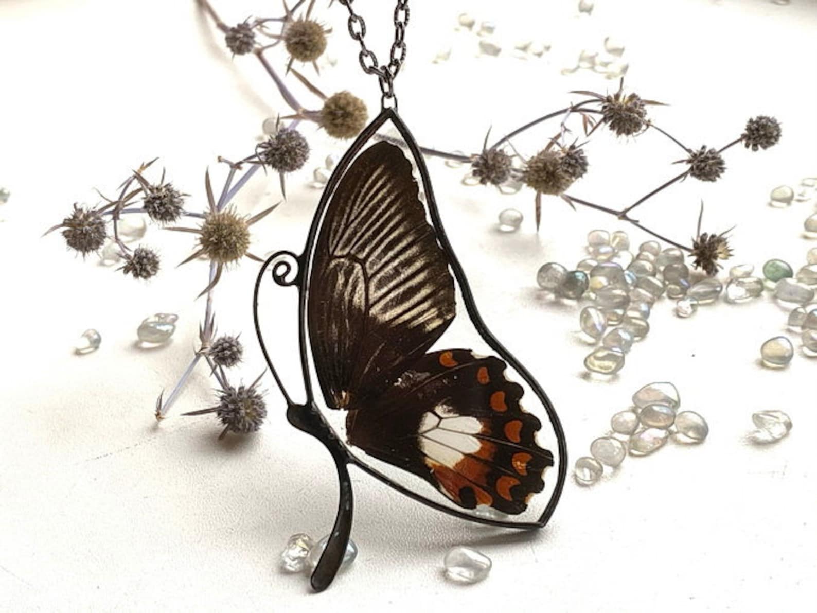 Butterfly Wings Necklace Real Butterfly Black Wings Butterfly - Etsy