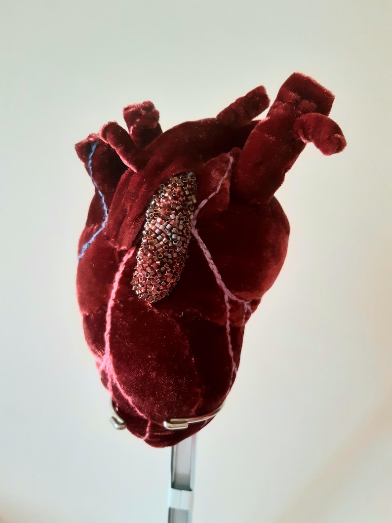 Anatomical Heart Made of Textiles - Etsy