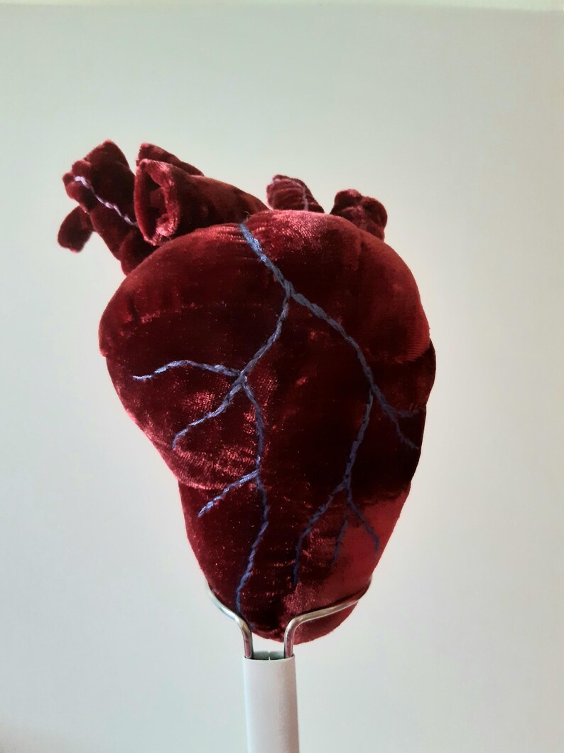Anatomical Heart Made of Textiles - Etsy
