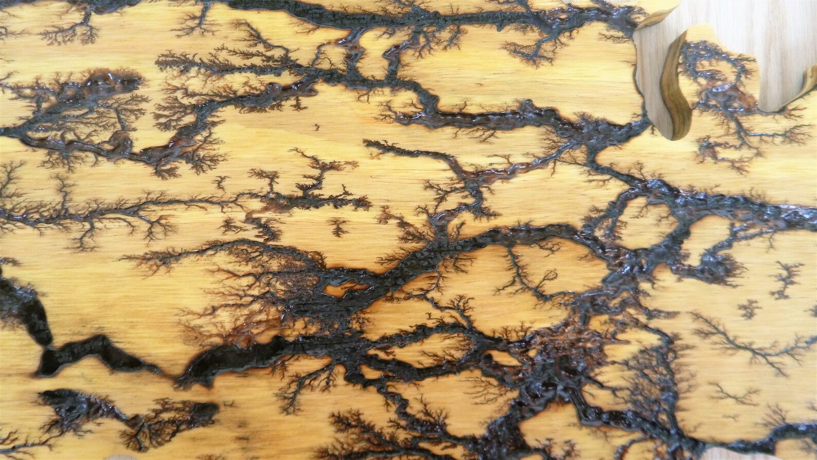United States of America, Fractal Burn Art, Lichtenberg, Wood Art ...