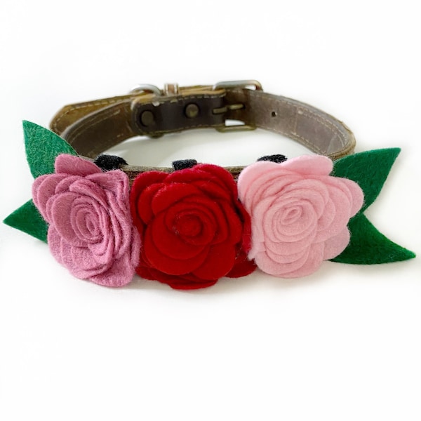 Collar Accessories - Etsy