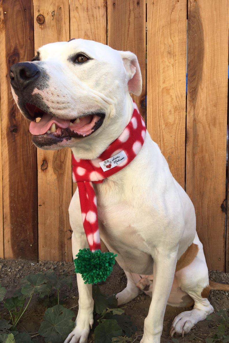 Red Plaid Dog Scarf Holiday Dog Scarf Pom Dog Scarf | Etsy
