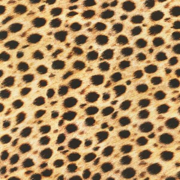 Cheetah Print Fabric - Etsy