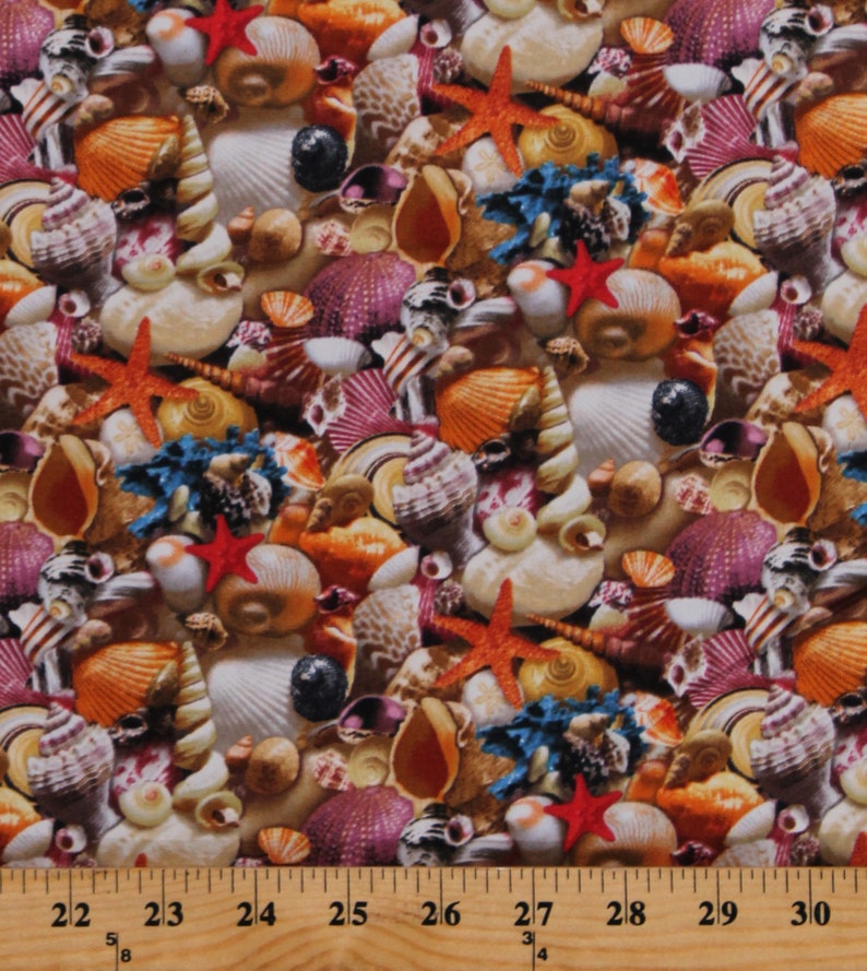 Packed Seashells by Elizabeth's Studio Fabric // Quilting Cotton ...