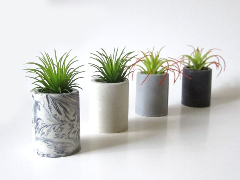 Air Plant Holder Set of 4 Mini Planter Modern Small | Etsy