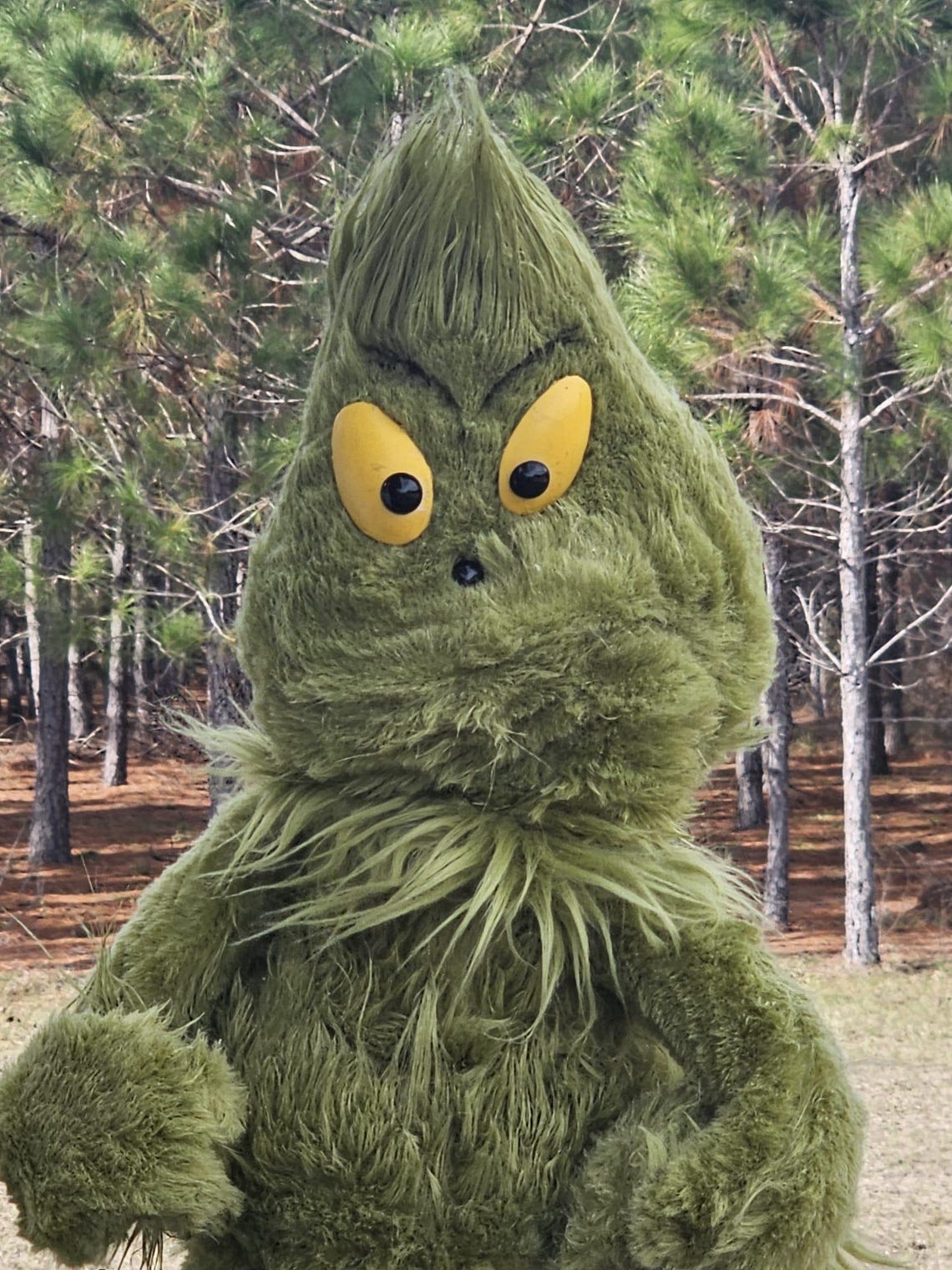 The Grinch Puppet - Etsy