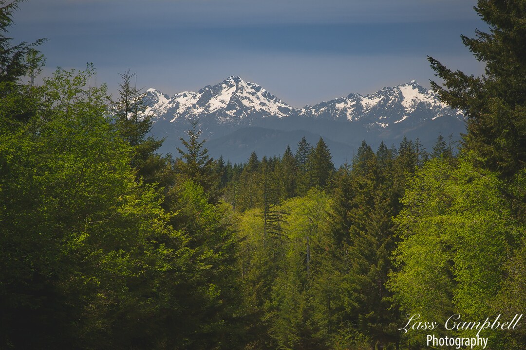 Olympic Mountains, Pacific Northwest, Tahuya State Forest, Washington ...