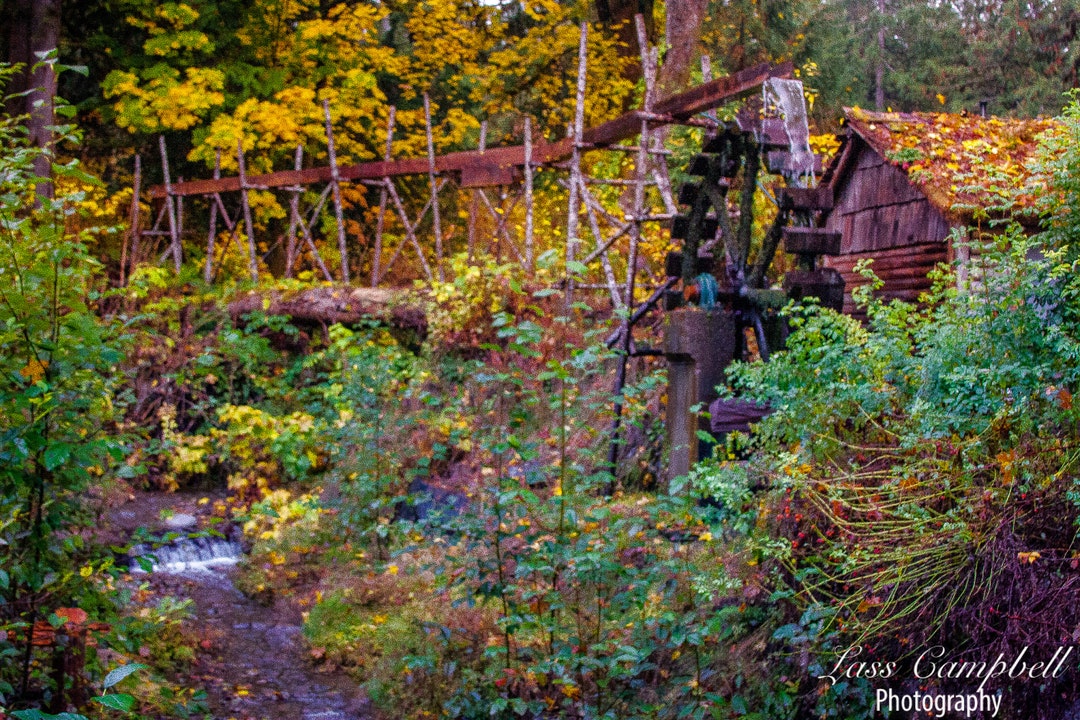 Union Waterwheel, Autumn, Fall Foliage, Mason County, Pacific Northwest ...