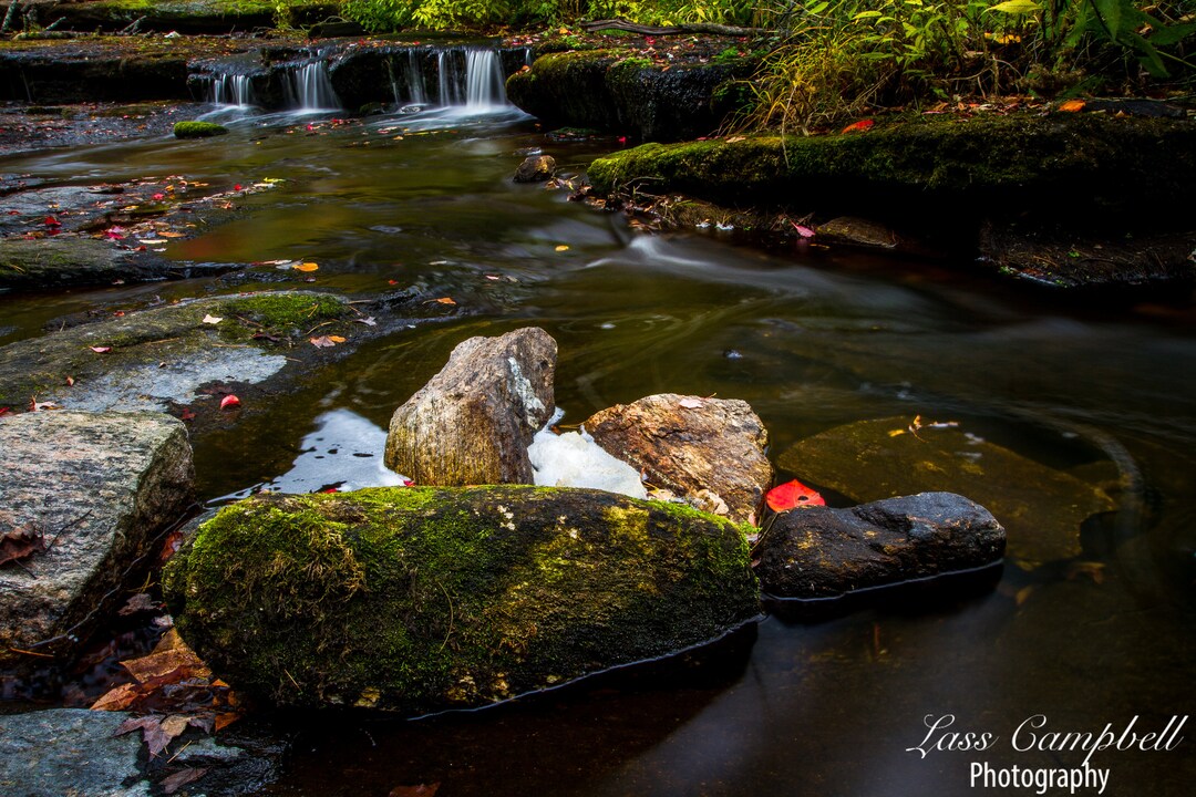 Mossy Rocks, Stepstone Falls, Arcadia Management Area, Ben Utter Trail ...