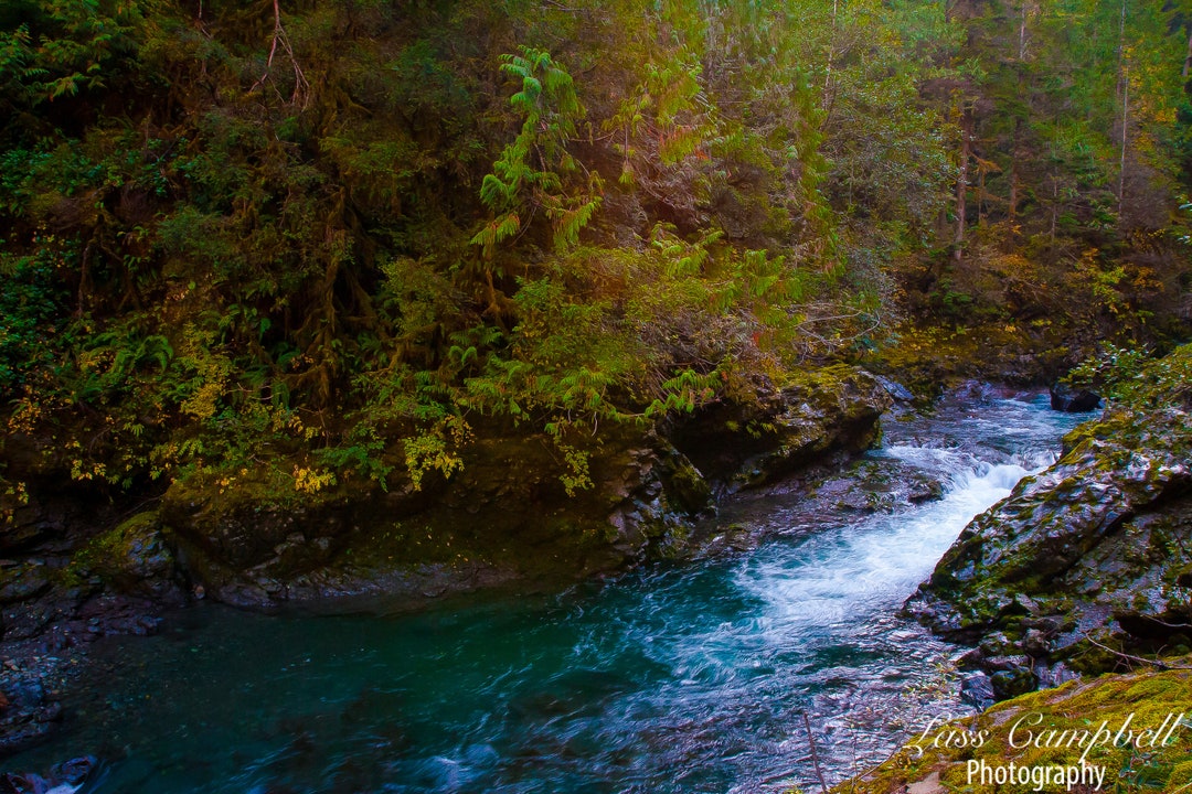 Ranger Hole, Río Duckabush, Bosque Nacional Olympic, Noroeste del ...