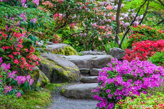 Japanese Flower Garden Stone Path