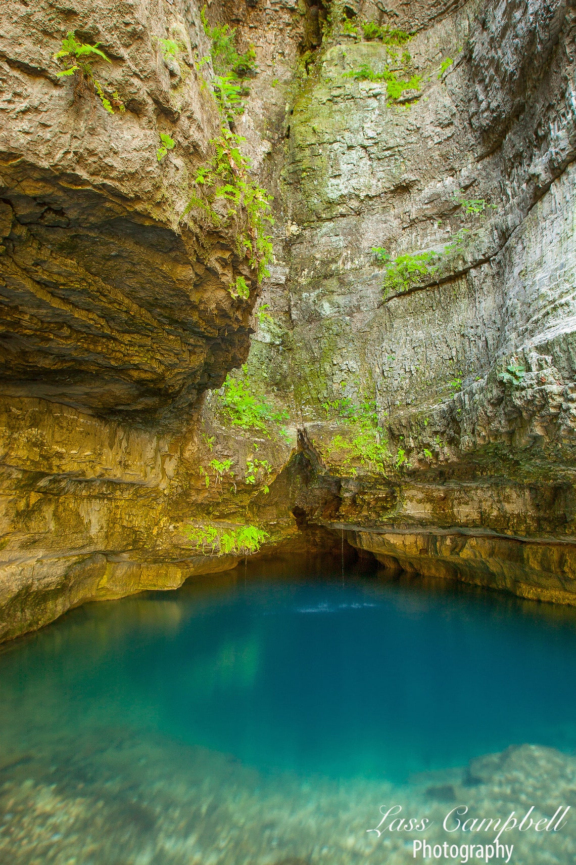 Cave and Blue Spring, Roaring River State Park, Missouri - Etsy