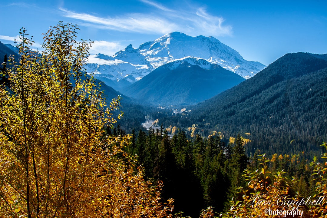 Mount Rainier, Mountain, Fall Foliage, Pacific Northwest, Puget Sound ...