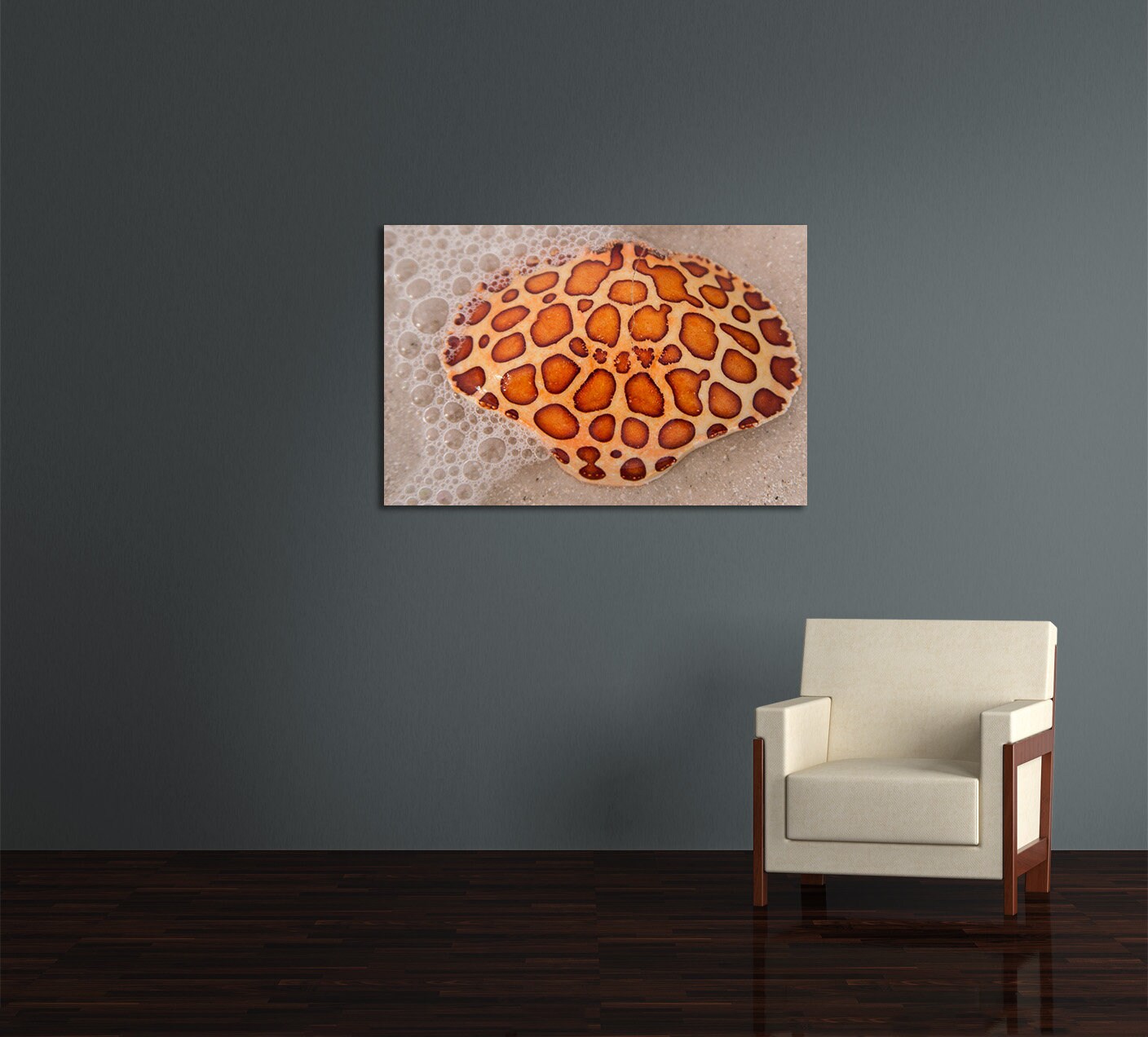Leopard Crab, Caladesi Island, Florida, Beach - Etsy