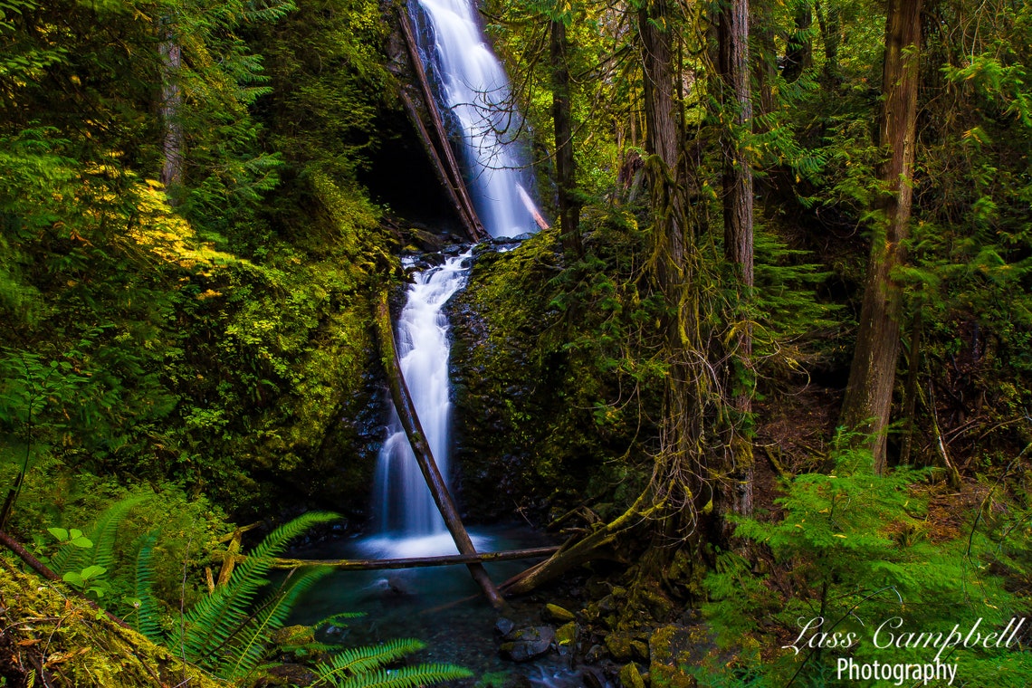 Murhut Falls, Olympic National Forest, Pacific Northwest, Washington ...