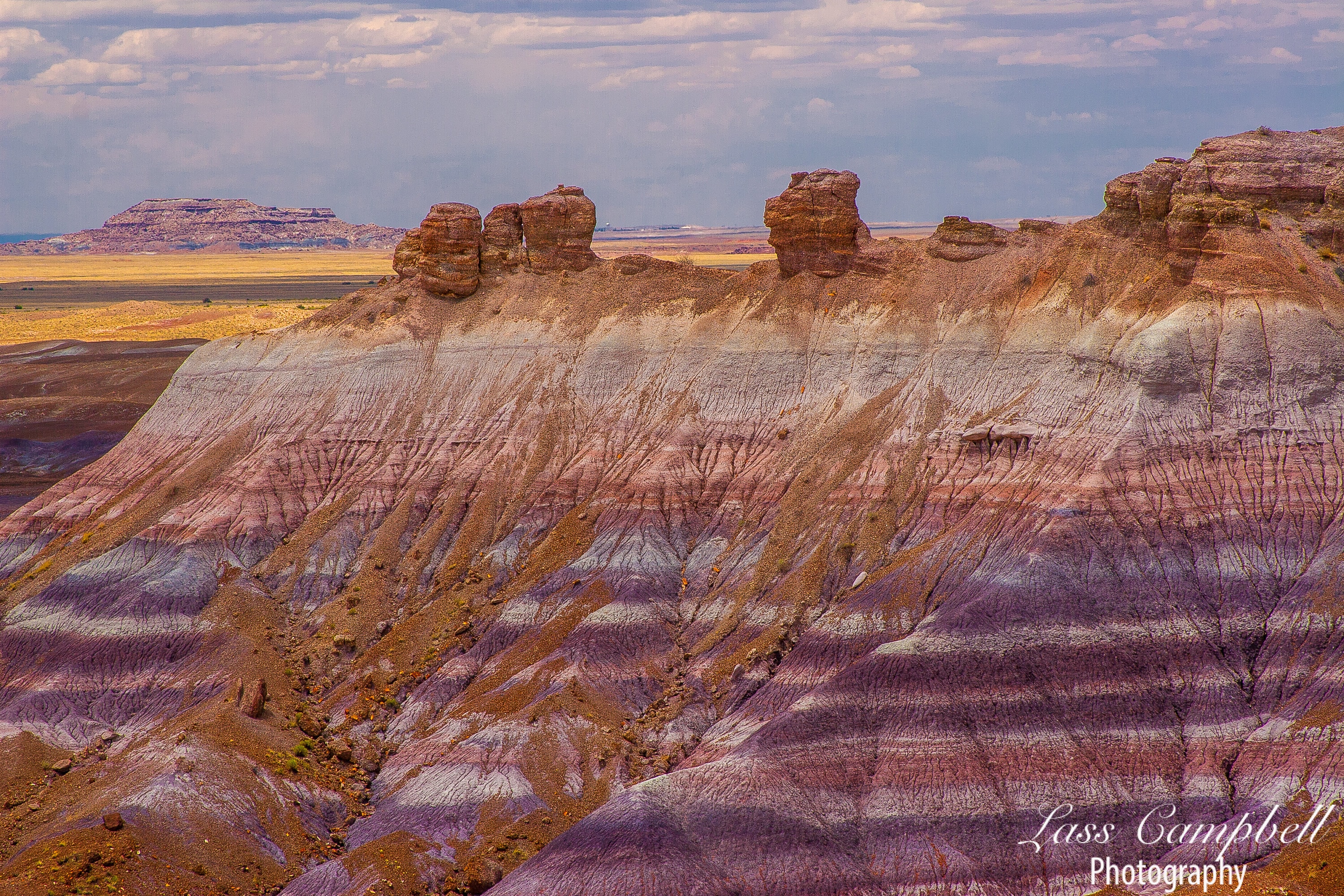 Painted Desert Petrified Forest National Park Arizona | Etsy