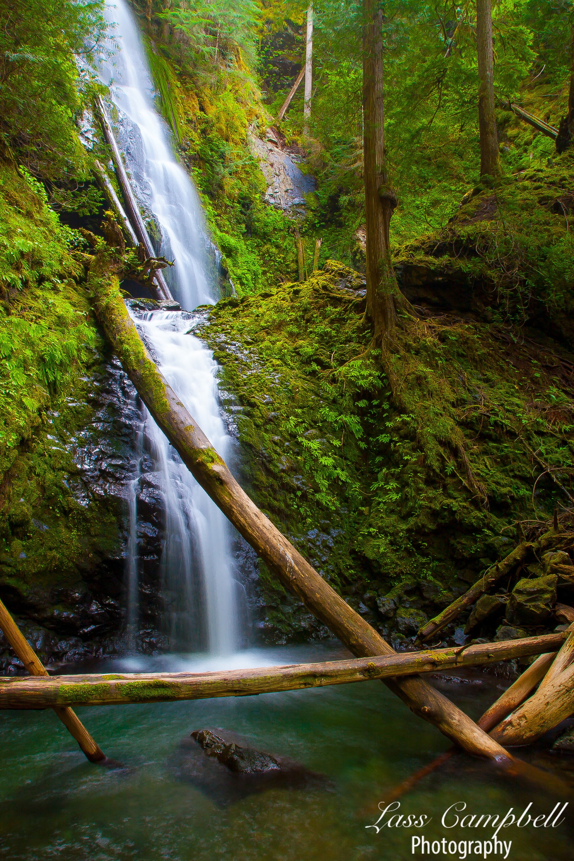 Murhut Falls Olympic National Forest Pacific Northwest | Etsy