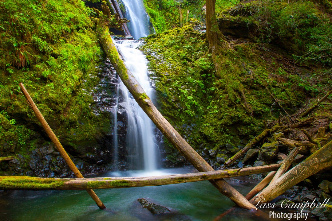 Murhut Falls, Olympic National Forest, Pacific Northwest, Washington ...