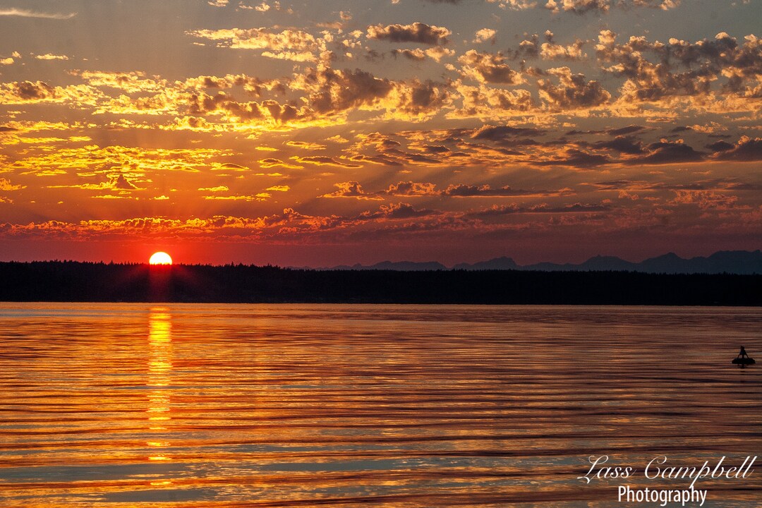 Joemma Beach State Park, Sunset, Washington - Etsy