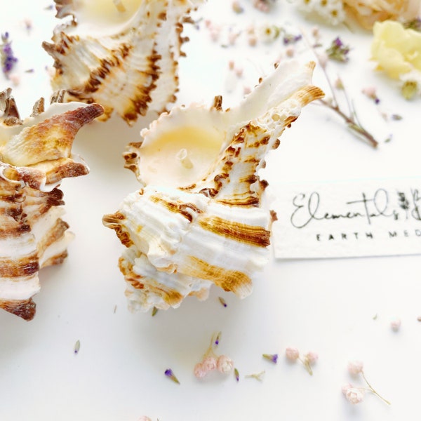 ElementalsBotanica - Etsy Australia