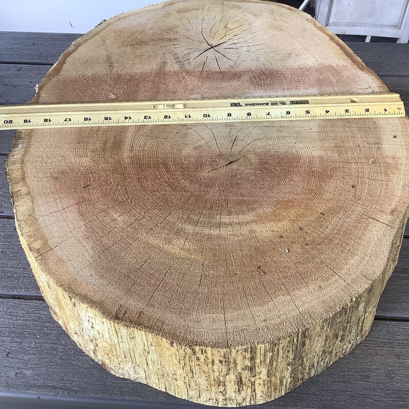 Oak Wood Slice - Etsy