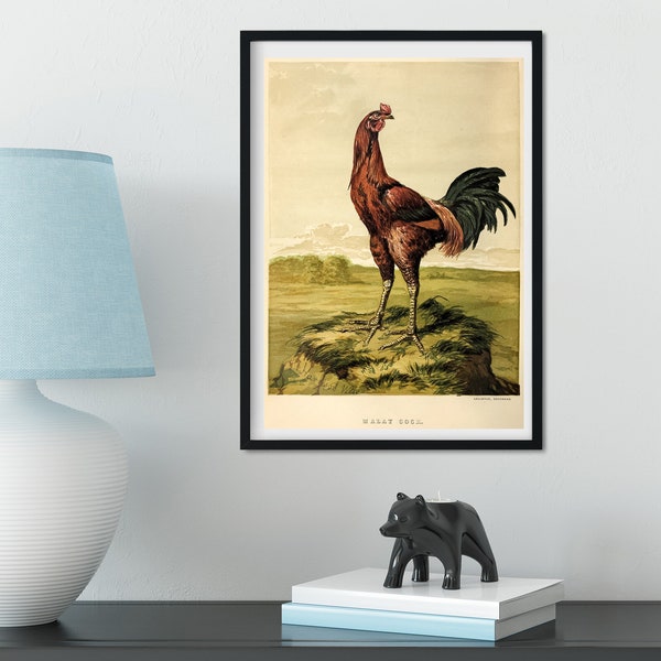 Rooster Prints - Etsy