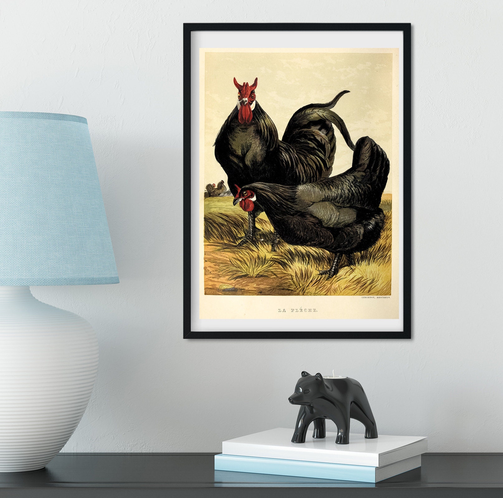 Set of 6 Framed Vintage Chicken Prints, Set of Bird Art Painting, Set ...