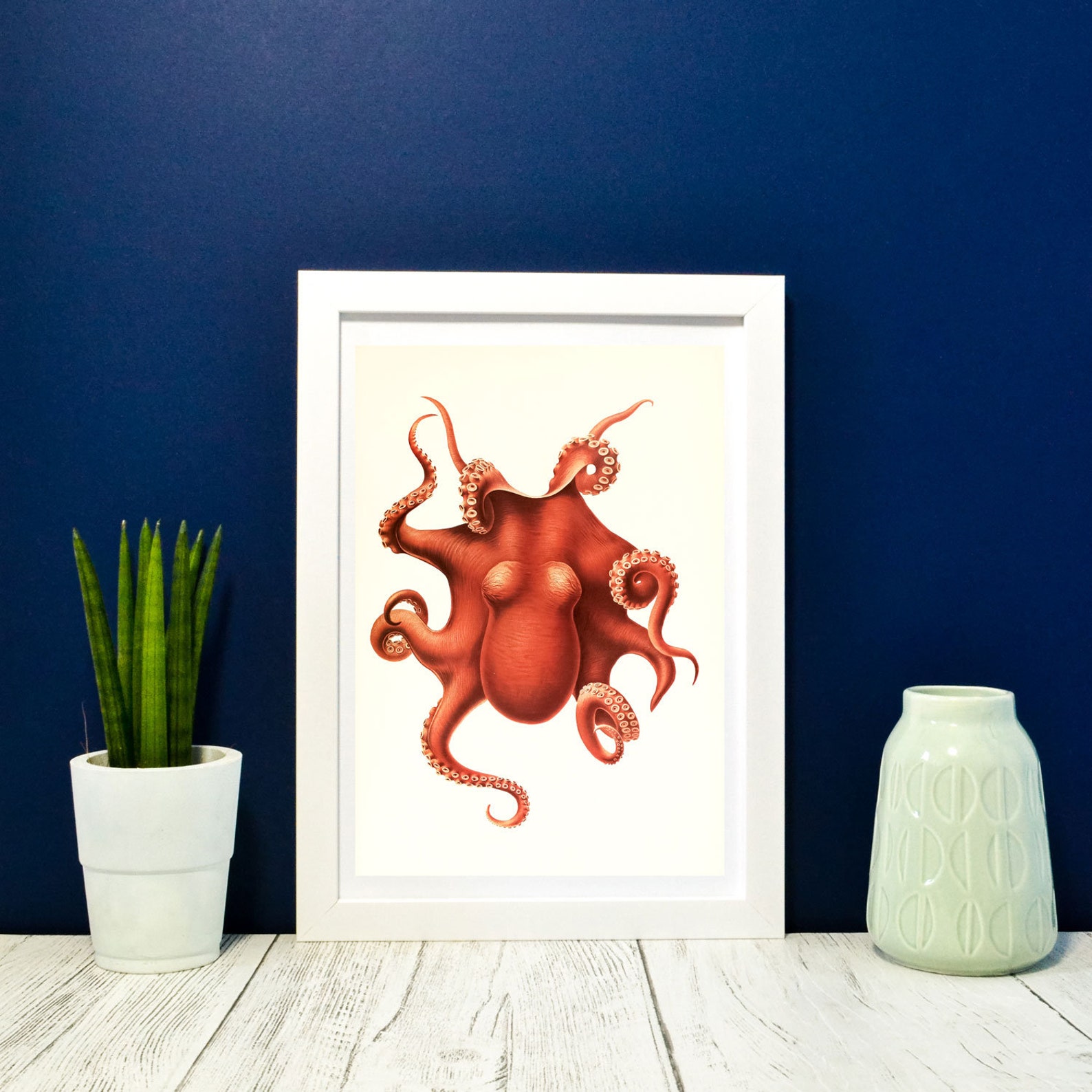 Framed Antique Octopus Print Scientific biology Octopus Wall | Etsy