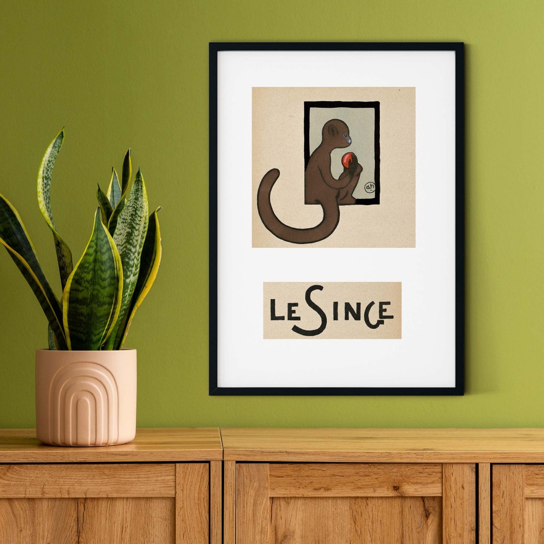 Framed Vintage Monkey Illustration Print, French Childrens Monkey ...