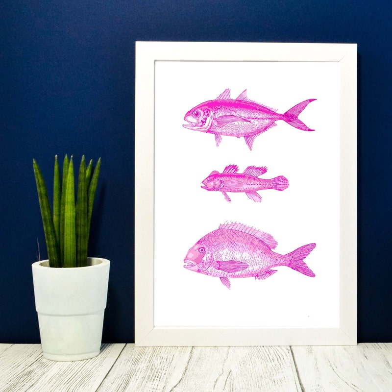 Fish Poster - Etsy
