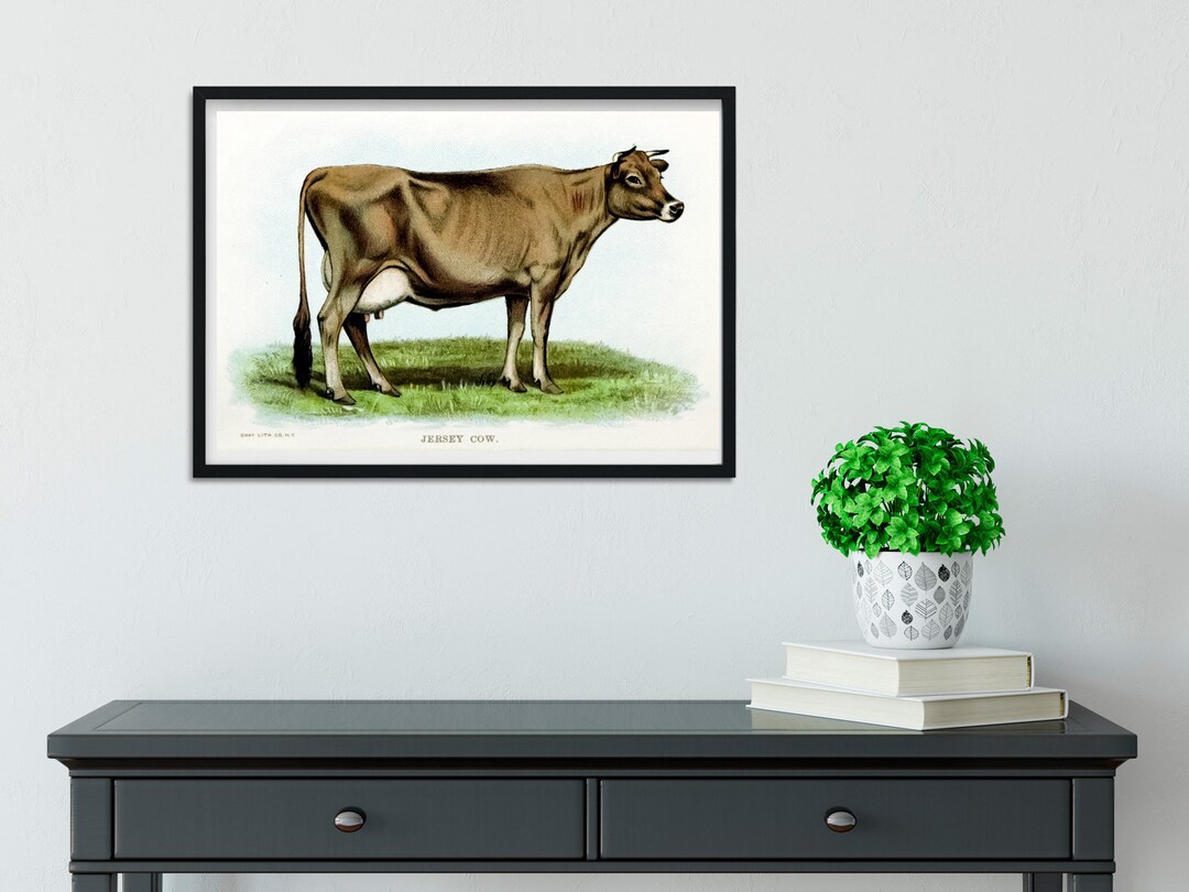 Framed Vintage Cow Print, Natural History Cow Art Print, Framed Cattle ...