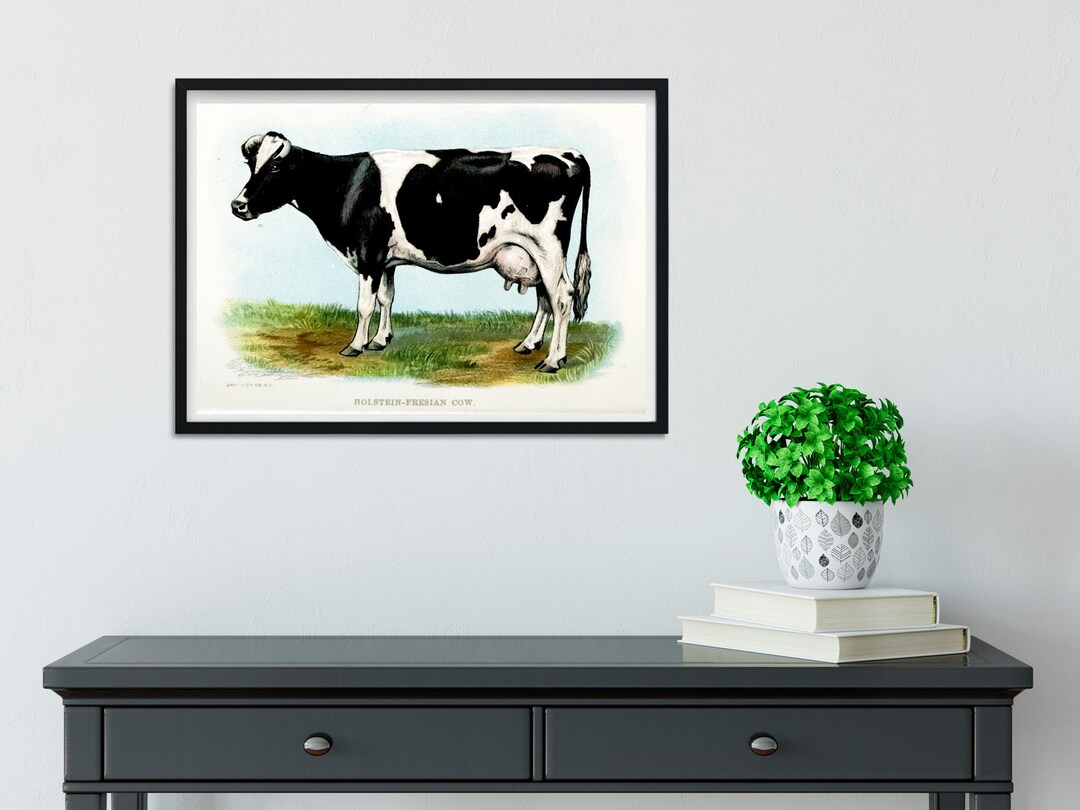Framed Vintage Cow Print, Natural History Cow Art Print, Framed Cattle ...