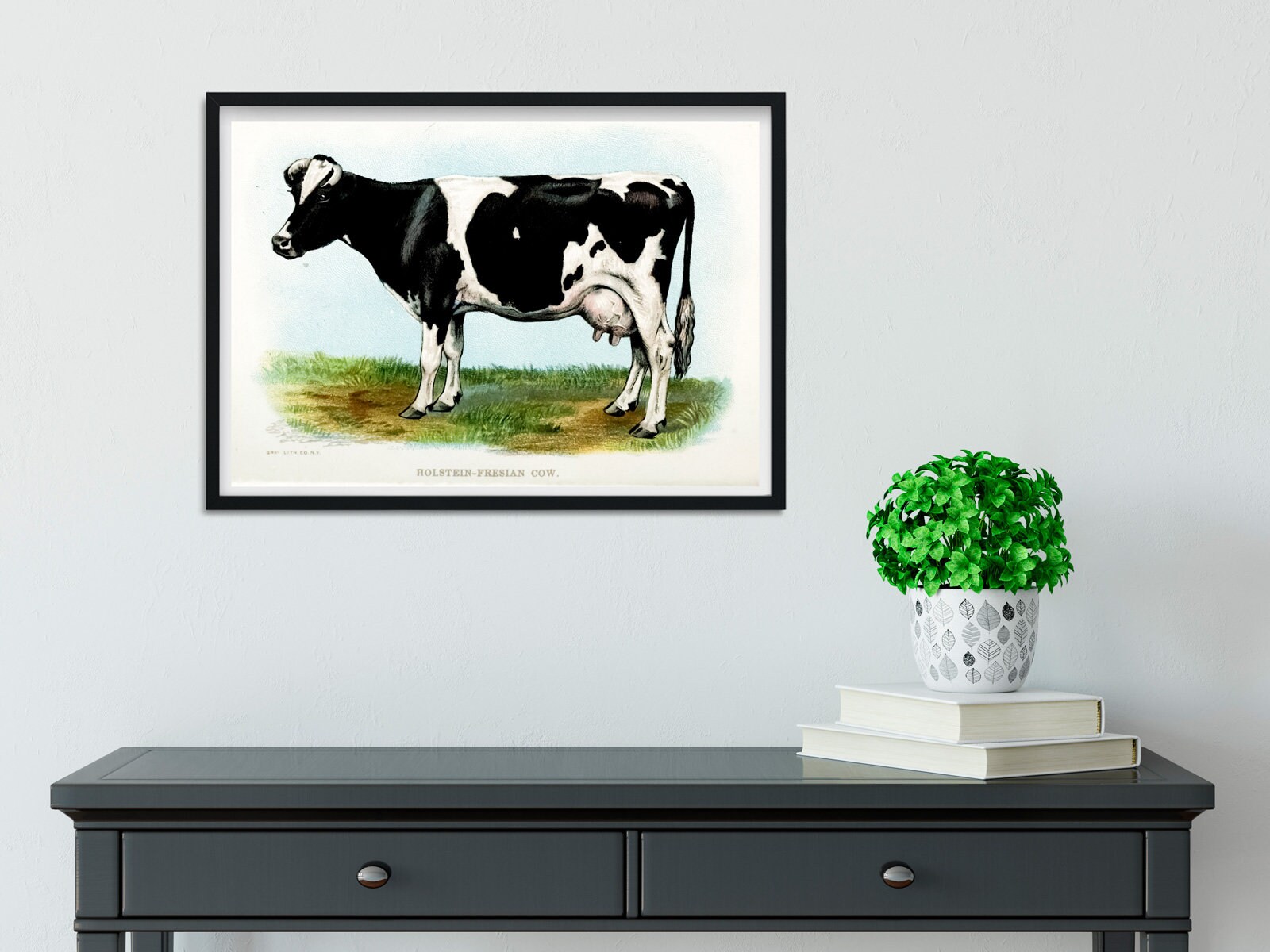 Framed Vintage Cow Print, Natural History Cow Art Print, Framed Cattle ...