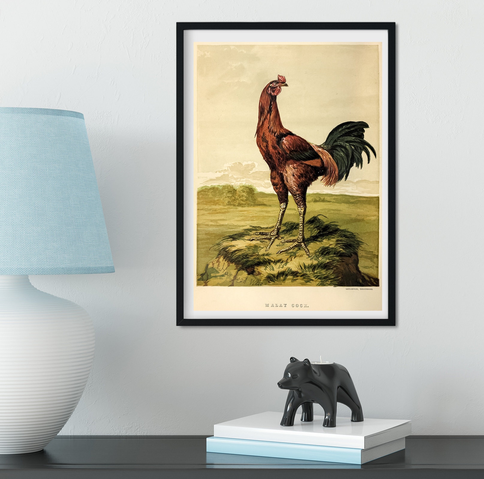 Set of 6 Framed Vintage Chicken Prints set of bird art | Etsy