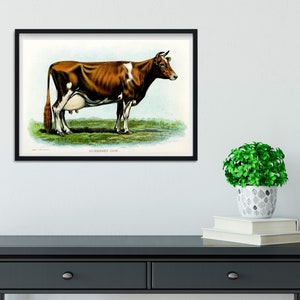 Set of 4 Framed Vintage Cow Print, Natural History Set of 4 Kitchen Cow ...