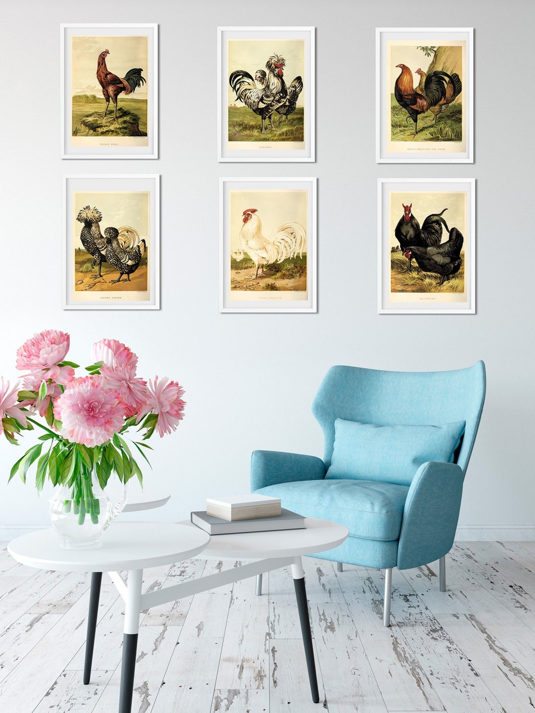 Set of 6 Framed Vintage Chicken Prints, Set of Bird Art Painting, Set ...