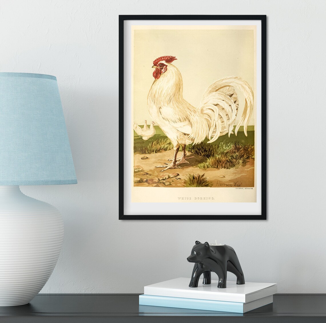 Set of 6 Framed Vintage Chicken Prints Set of Bird Art - Etsy