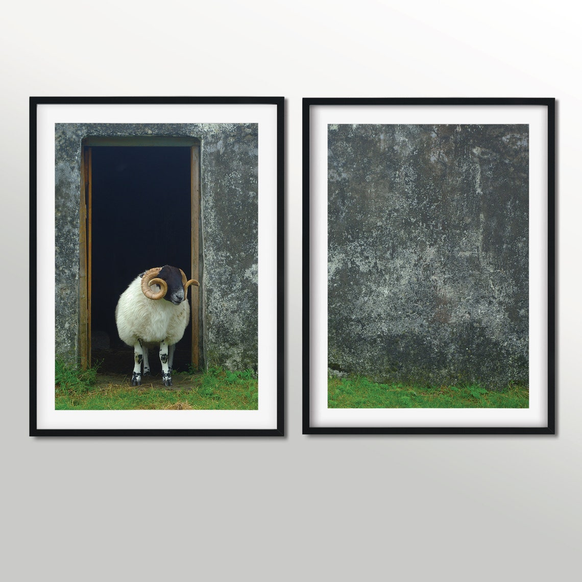 Set of 2 Prints Framed Sheep Photography Print Farm Art Sheep | Etsy
