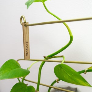 Curved Plant Support Indoor Plant Stake, Indoor Metal Trellis for Stem ...